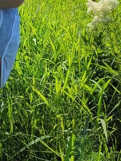 My.Club | Place to Showcase And Enjoy Exclusive Content